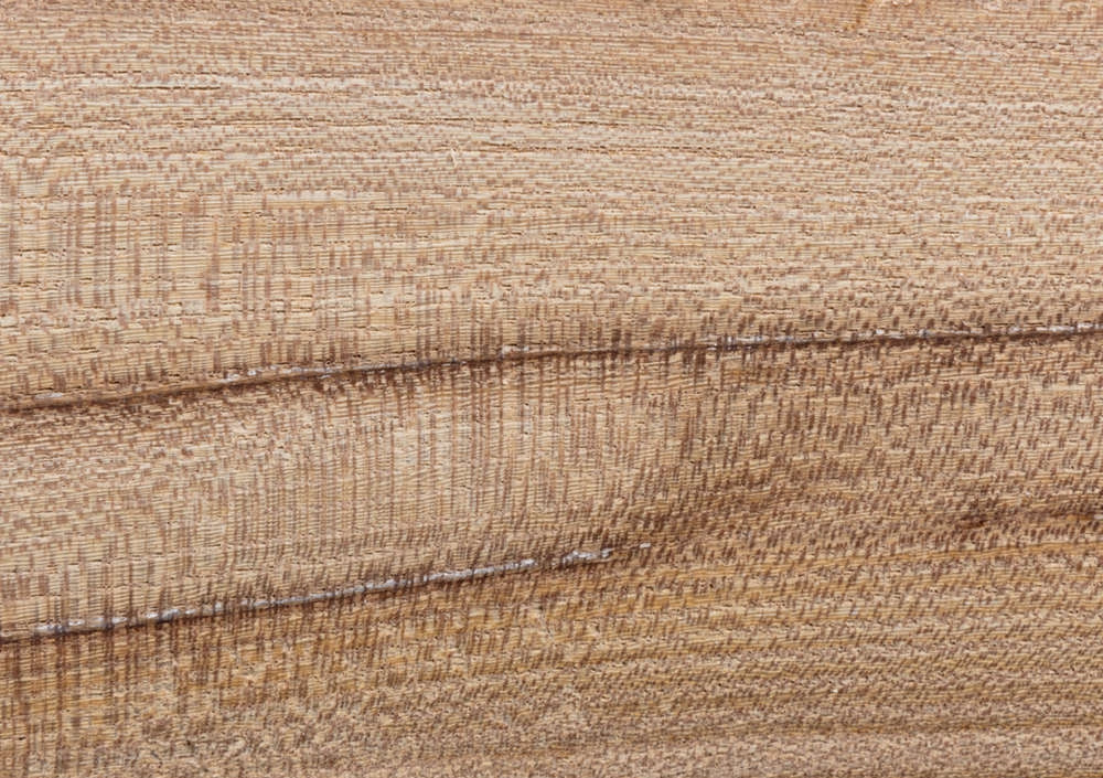 Elm Wood - Block | - Laplander.eu | Bushcraft & Survival Specialists ...